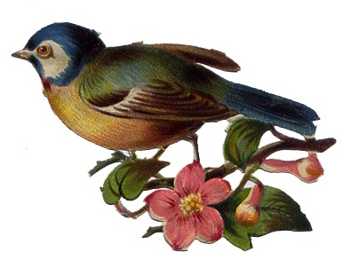 Victorian scraps | Looking at Artifacts and Ideas